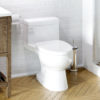 RIOSE One-Piece Toilet – ICERA