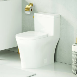 One-Piece Toilets – ICERA