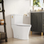 MUSE Two-Piece Toilet – ICERA
